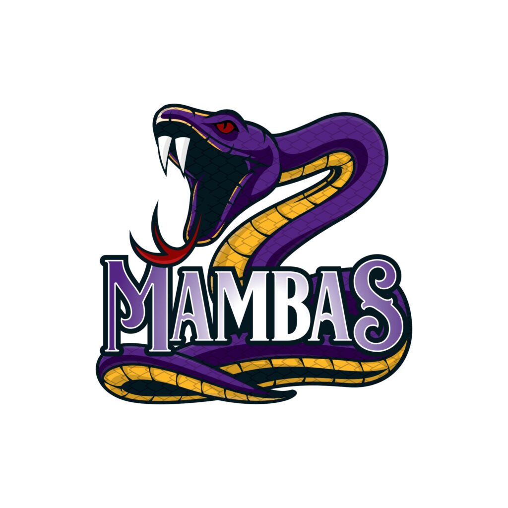 Mambas Basketball Academy - Basketball League & Training