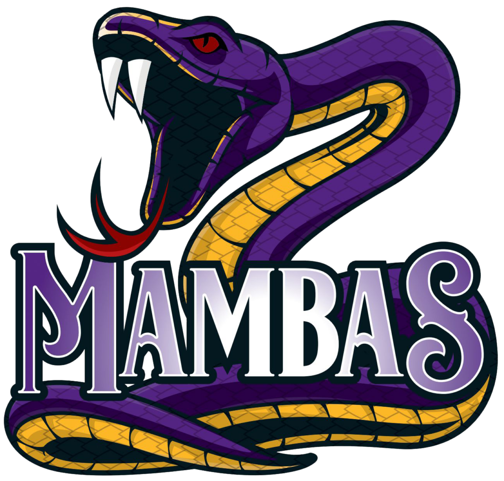 Mambas Basketball Academy - Basketball League & Training